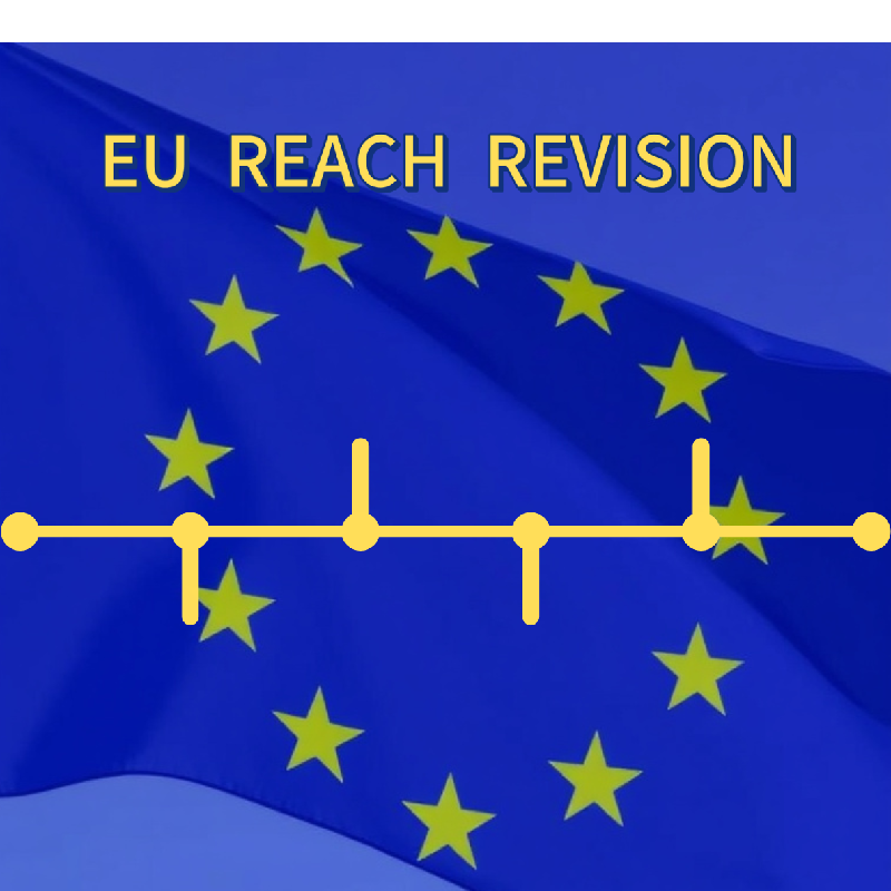 EU REACH Revision 2025: Draft Proposal & Key Timelines | H2 Compliance